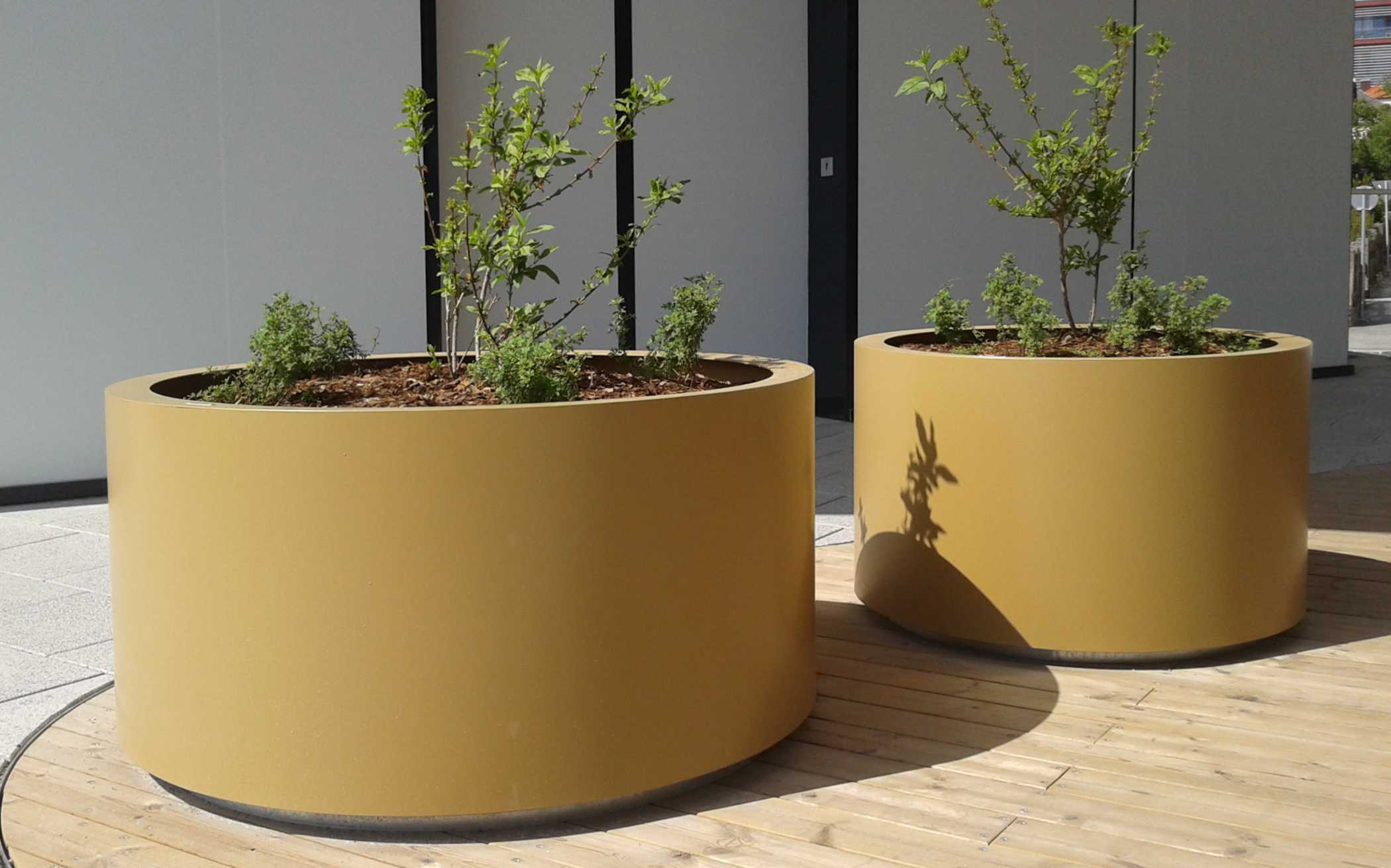 Aster Planter 6 | id created, Inc.
